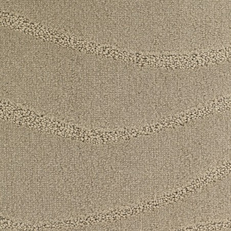 Moquette Beige très confortable, traitée contre les bactérien sur ...
