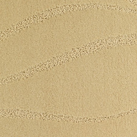 Moquette couleur sable grand confort, épaisse et hygiènique sur ...