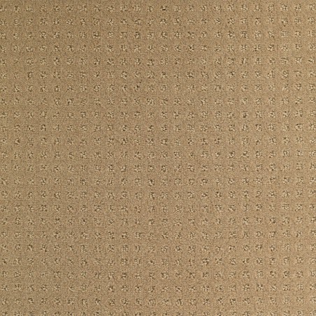 Moquette beige moka haute résistance et de grand confort sur Moquette ...